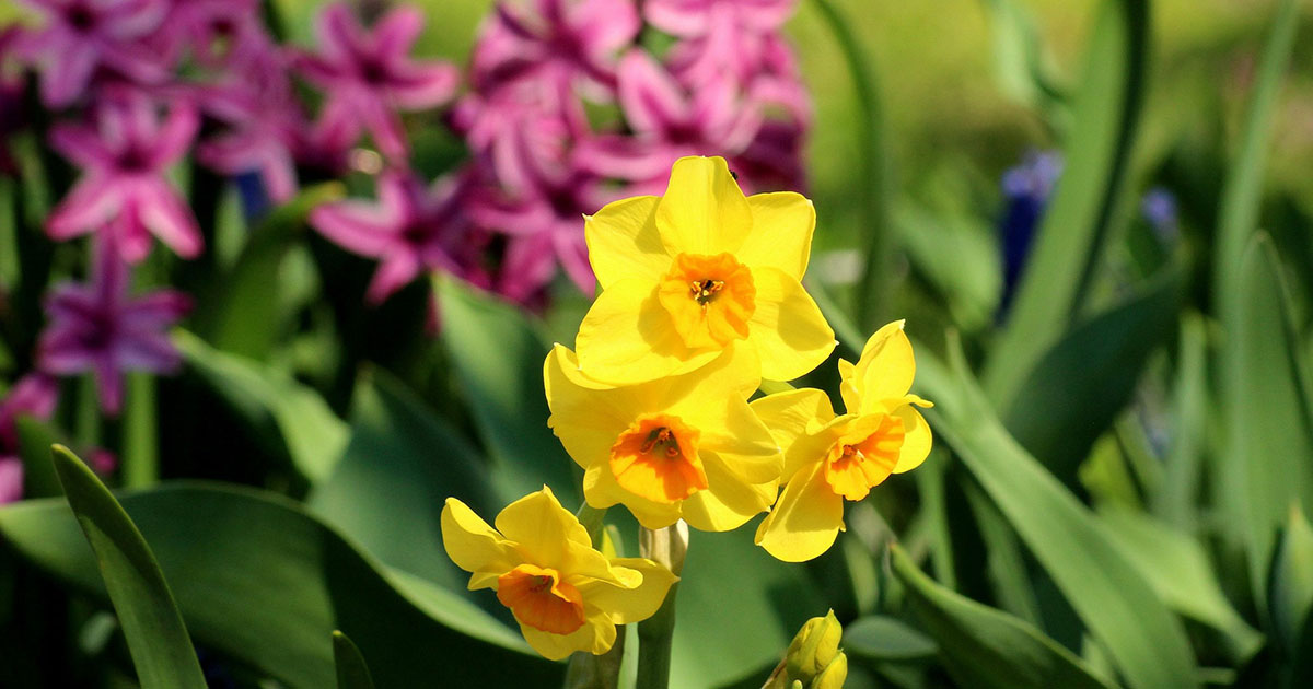 Can you raise funds for homelessness - they still need help in Spring